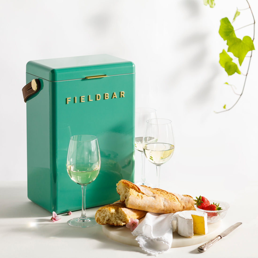 Fieldbar Coolers South Africa | Gin Trunks,Drinkboxes & Mini Bars – Zar ...